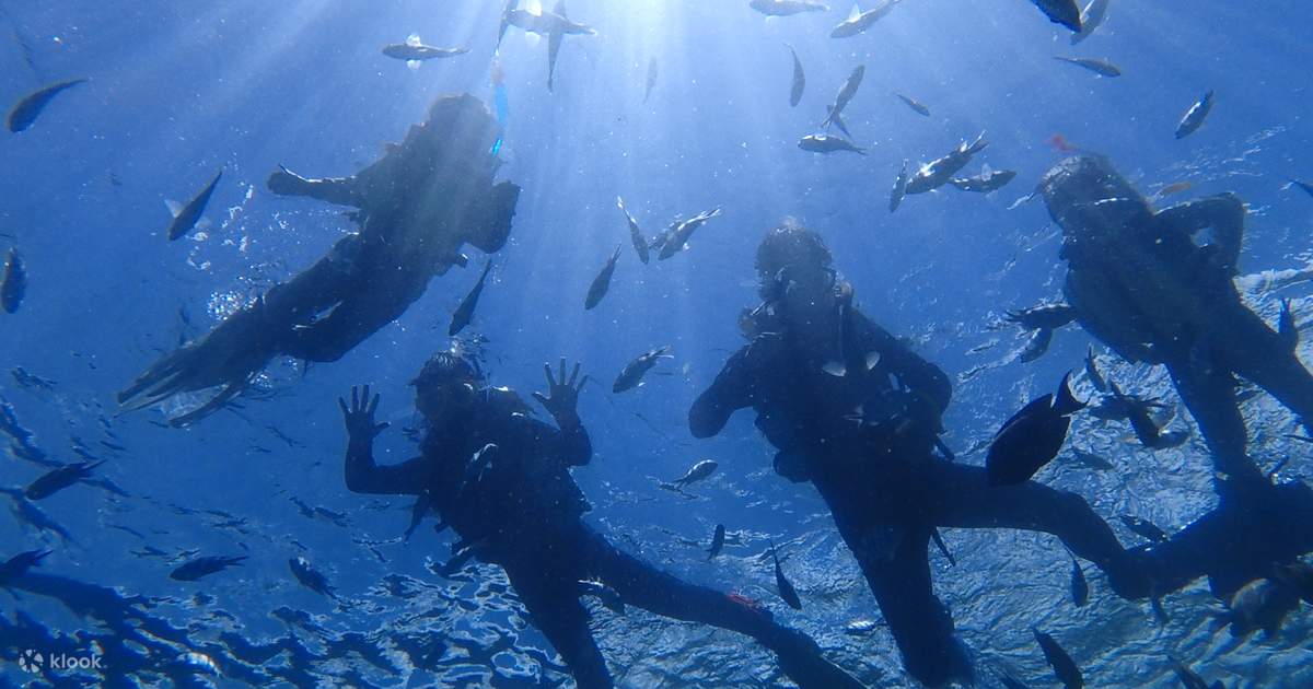 Окинава, Япония｜Сноркелинг в Голубой пещере｜Инструкторы, говорящие на китайском и английском ...